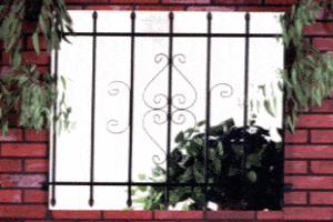 Window Guards | Reed Brothers Security